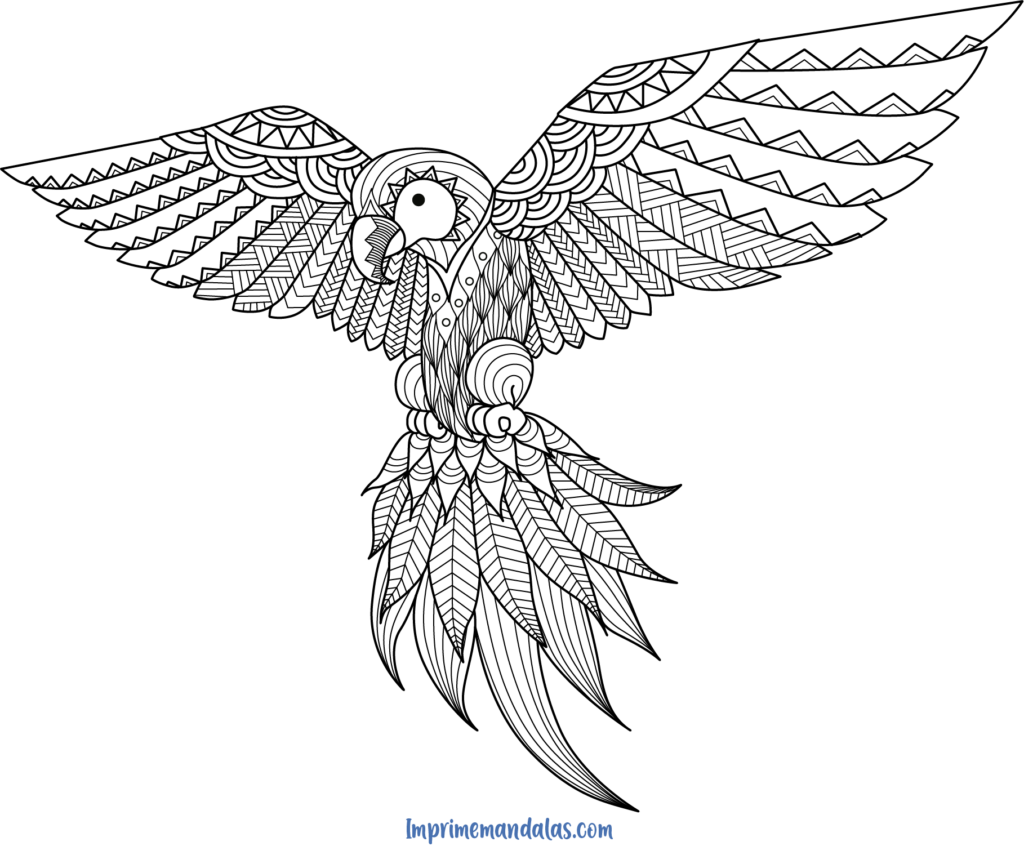 Mandala de Perico