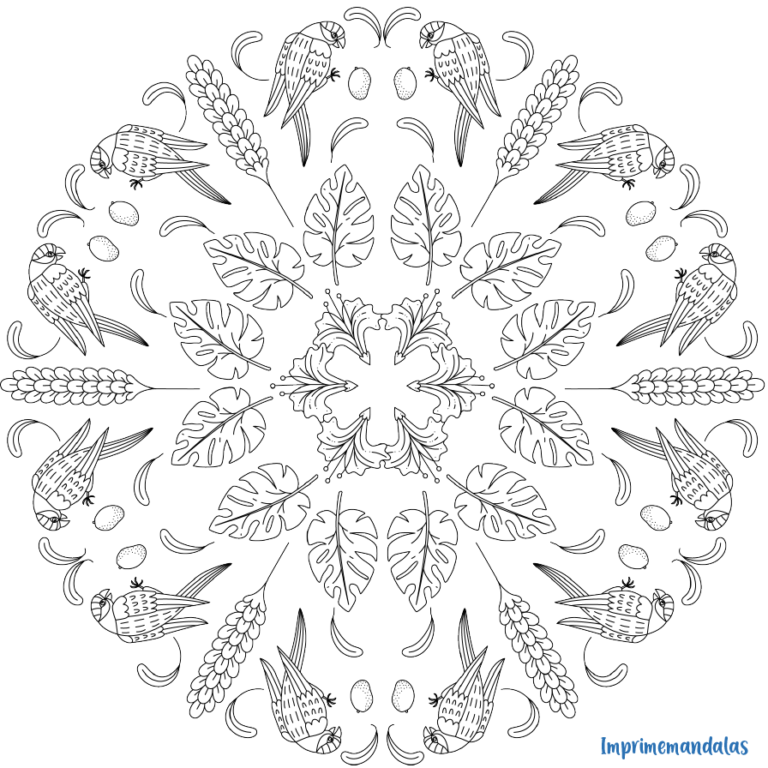 Mandalas de Aves